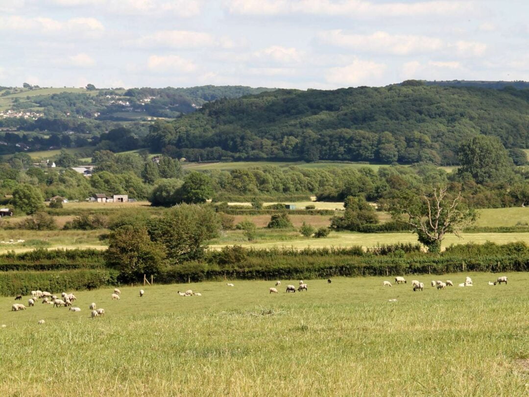 Landscape Character Assessment (LCA) – tool to support sustainable ...