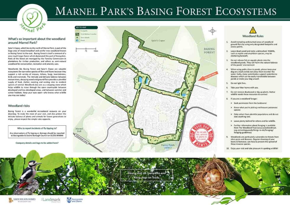 Environmental Interpretation | The Landmark Practice